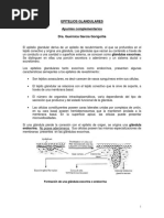 Glándulas Sudoríparas Ecrinas y Apocrinas | PDF | Termorregulación ...