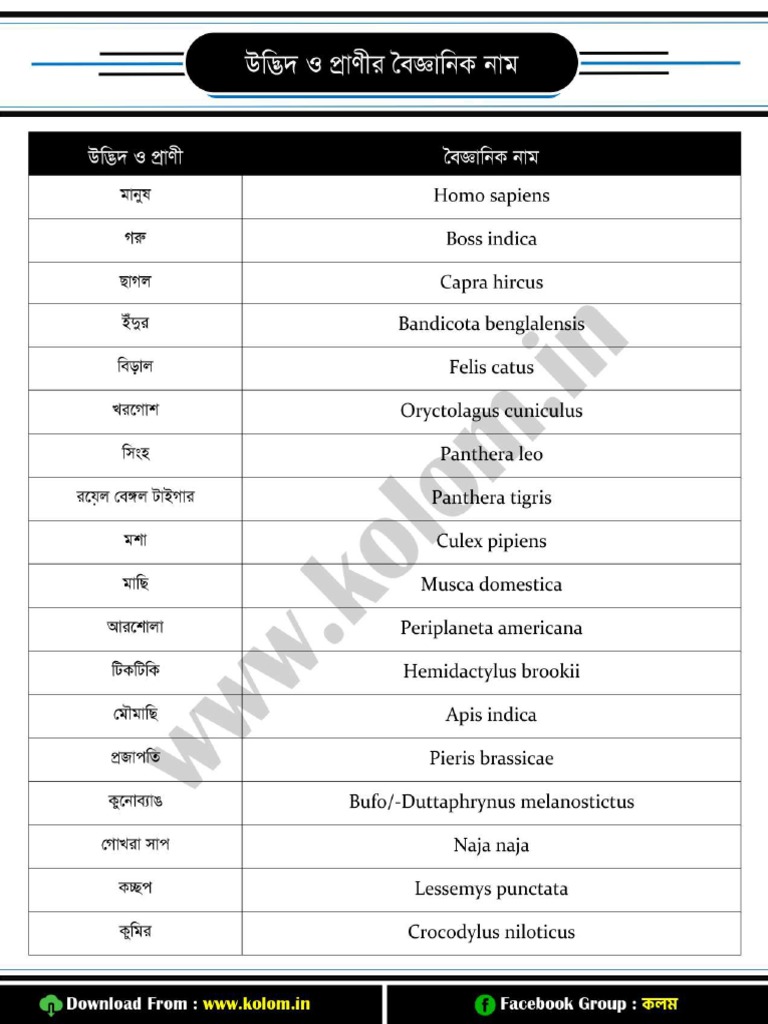 List of Scientific Names of Plants and Animals - Kolom | PDF