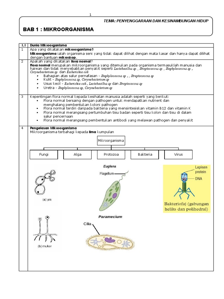 BAB 1 f5 Edit Eksperimen | PDF
