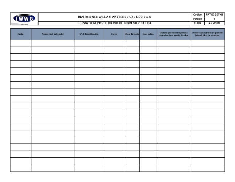 Formato Reporte Diario de Ingreso y Salida | PDF