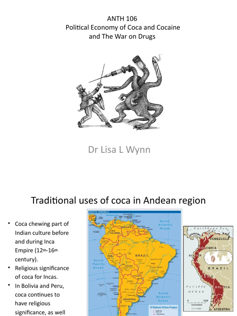 Cocaine Lecture Slides 2021 | PDF | Coca | Cocaine