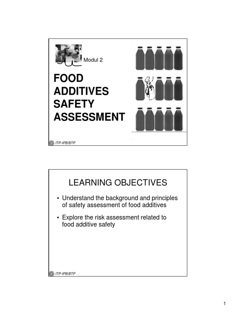 BTP Modul 3 - Food Additives Safety Assessment - 2012 | PDF | Food ...