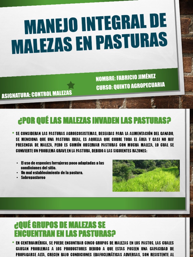 Manejo Integral de Malezas en Pasturas PW | PDF | Organismos | Agricultura