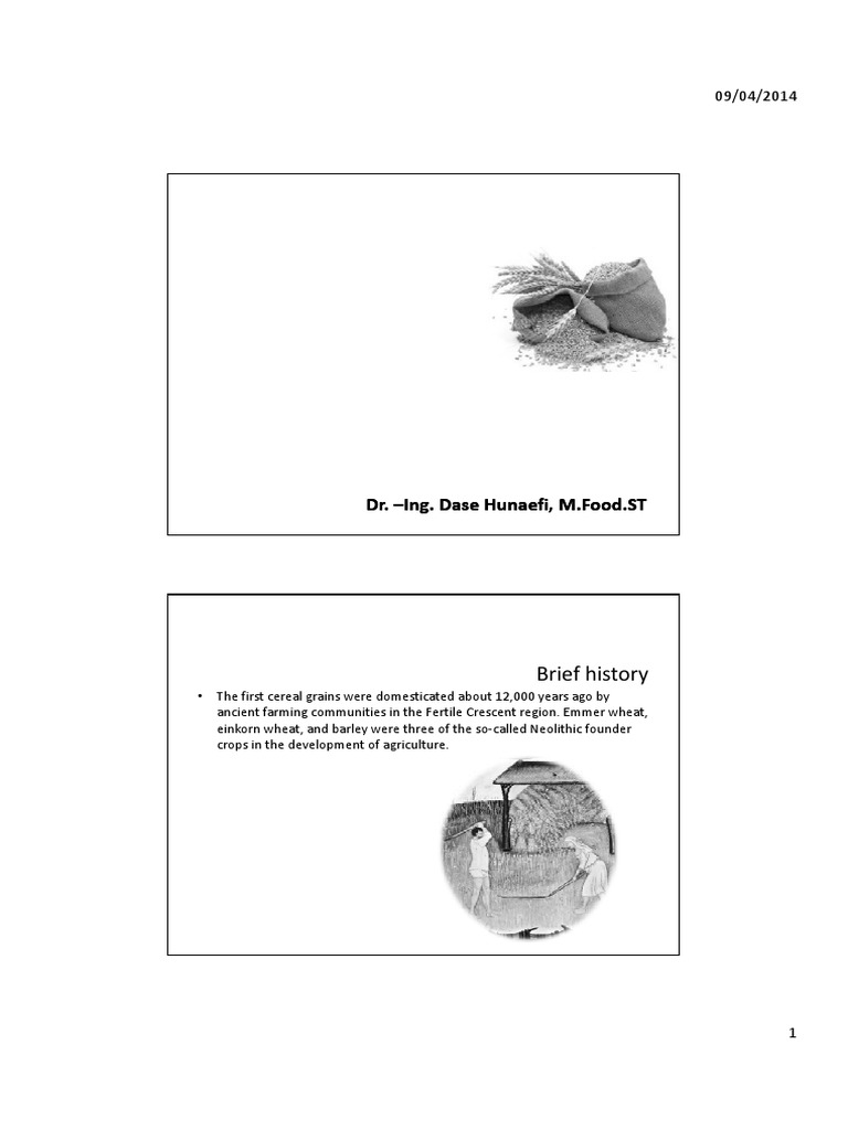 8-Cereal Processing | PDF | Cereals | Wheat