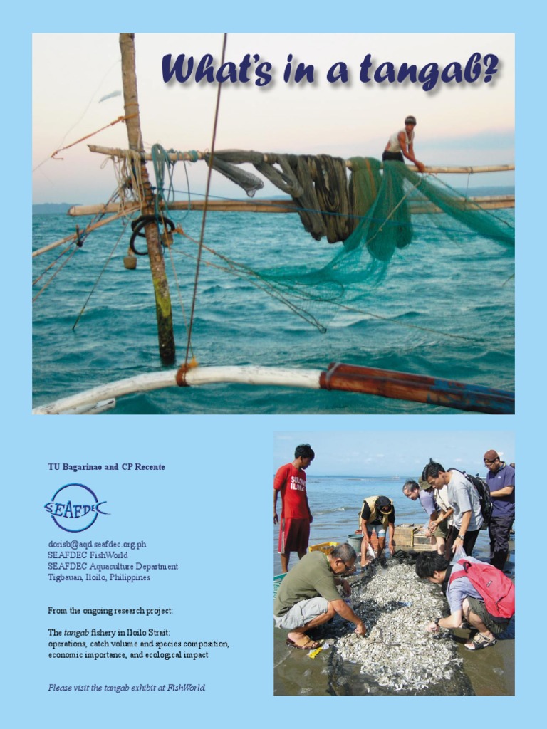 Tangab Fishery in Iloilo Strait | PDF | Aquaculture | Sea