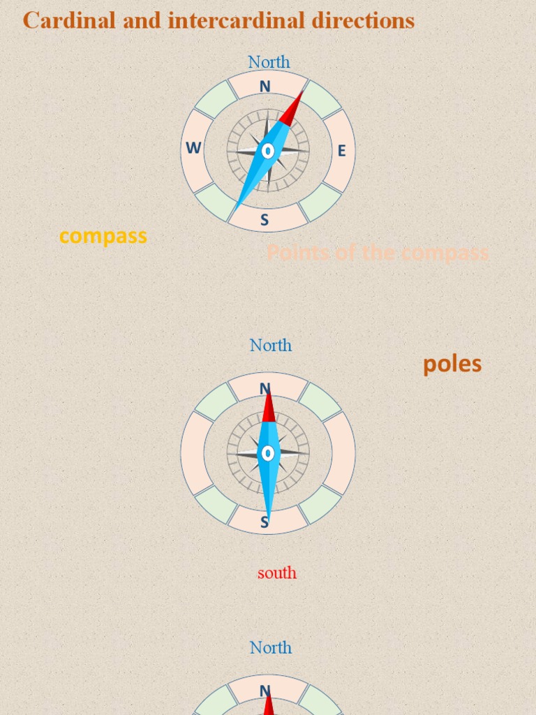 Compass Directions Practice Guide | PDF