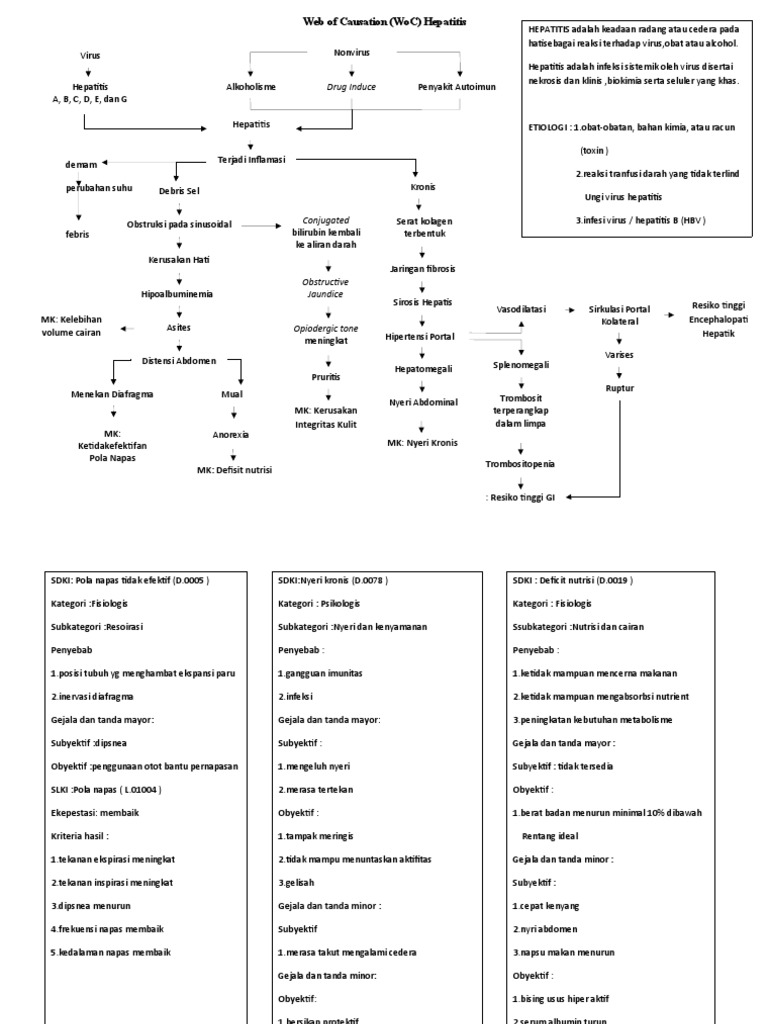 Woc Hepatitis Fix | PDF