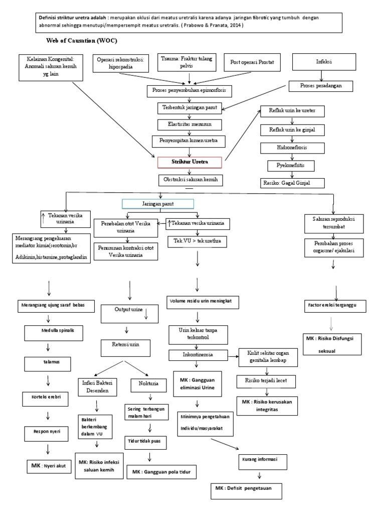 Woc Striktur Uretra | PDF