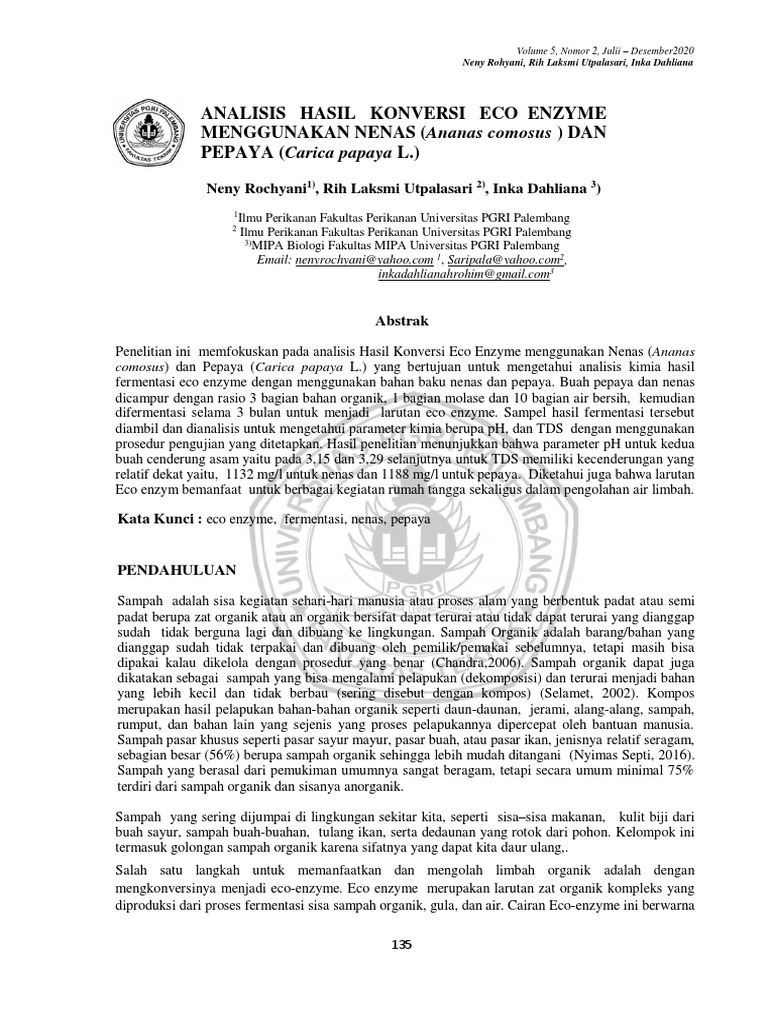 Analisis Konversi Eco Enzyme Nenas dan Pepaya | PDF | Griya & Taman ...