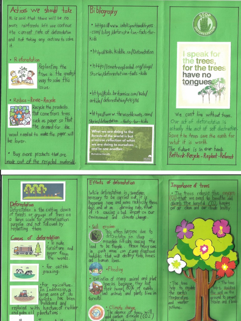 Deforestation Brochure Final1 Kenneth1B | PDF