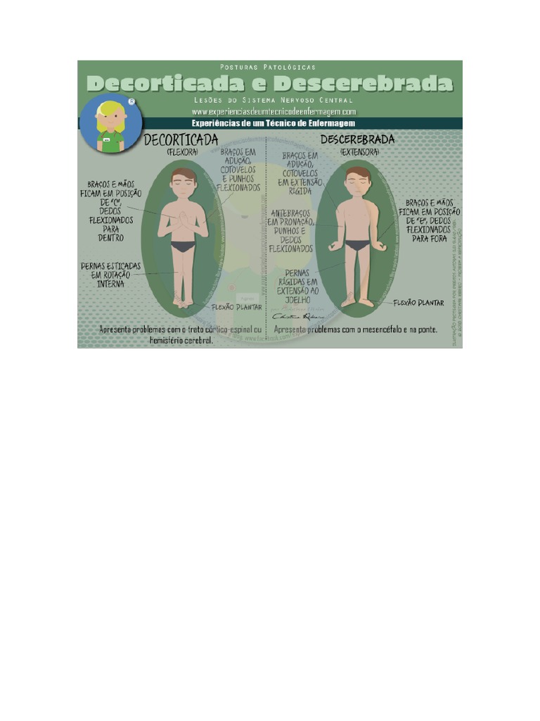 Descerebração e Decorticacao | PDF