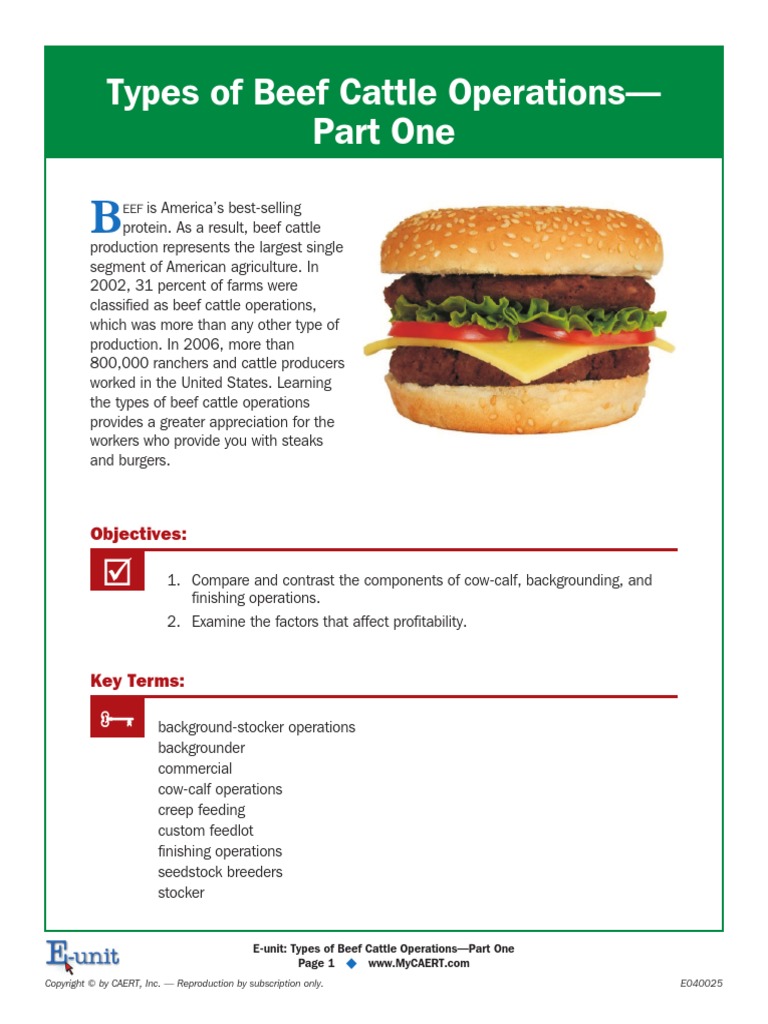 Types of Beef Cattle Operations | PDF | Calf | Cattle
