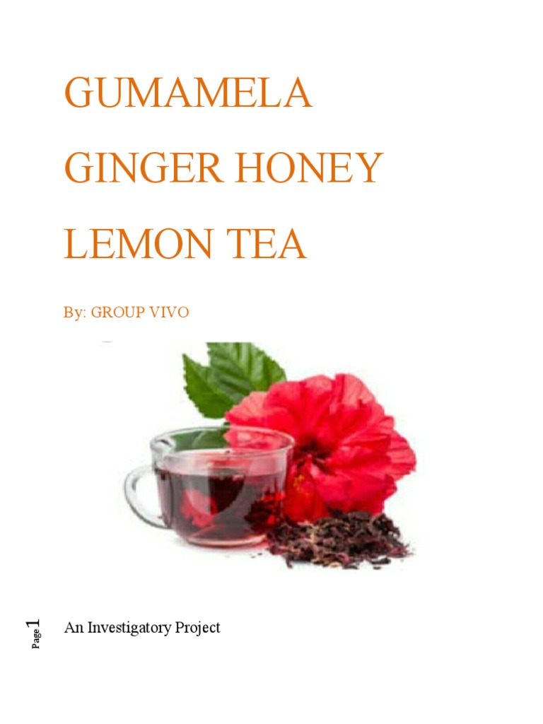 Gumamela Ginger Honey Lemon Tea Investigatory Project | PDF | Nutrients ...