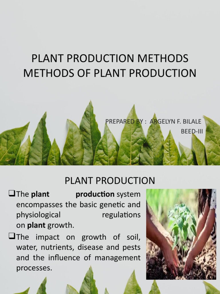 Plant Production Methods Explained | PDF | Soil | Plants