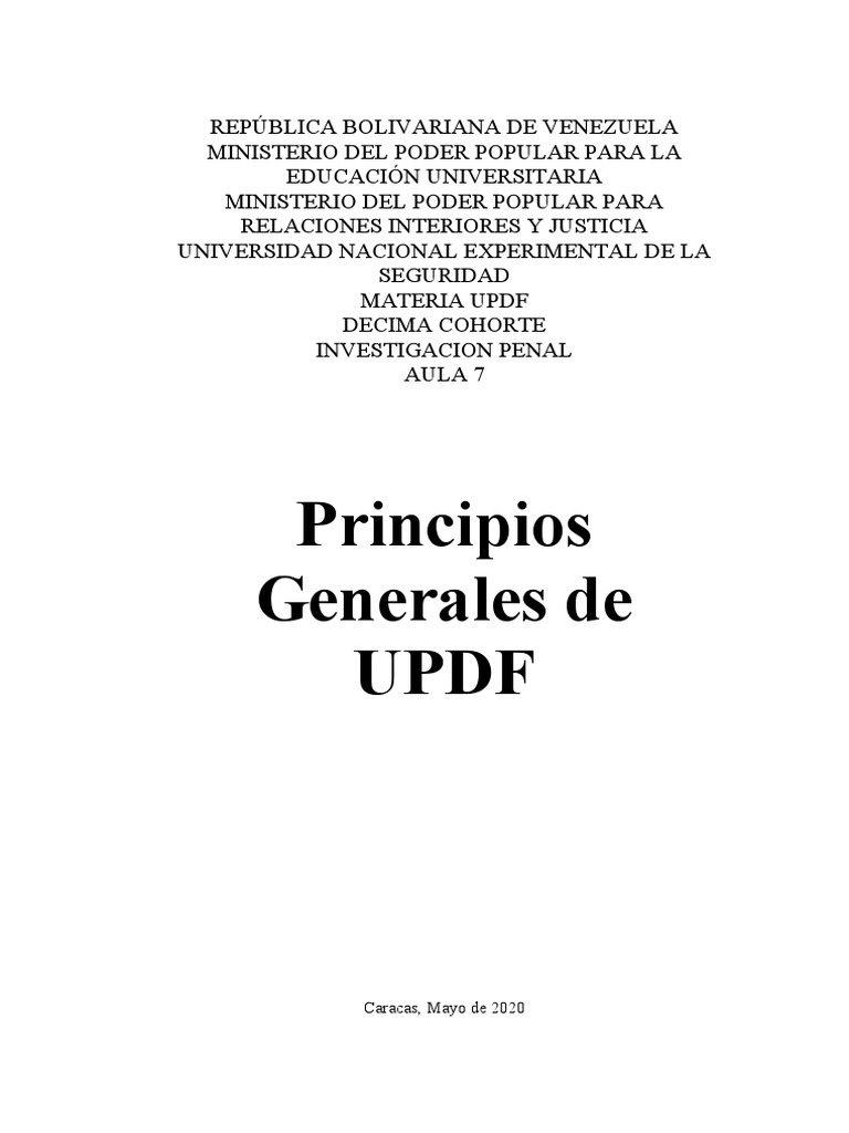 principios-de-updf-pdf-polic-a-moralidad