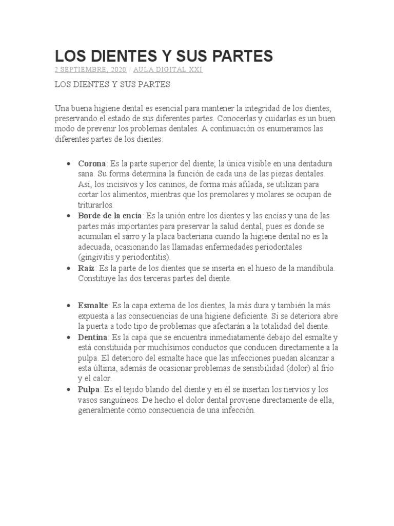 Los Dientes y Sus Partes | PDF