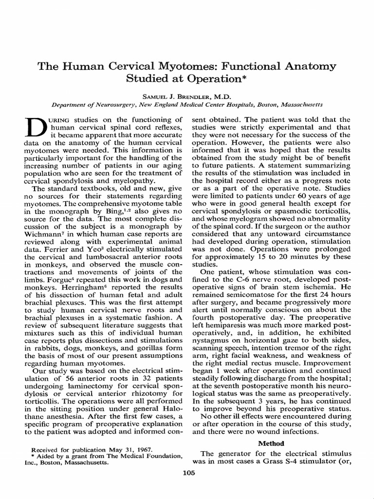 The Human Cervical Myotomes: Functional Anatomy Studied at Operation ...
