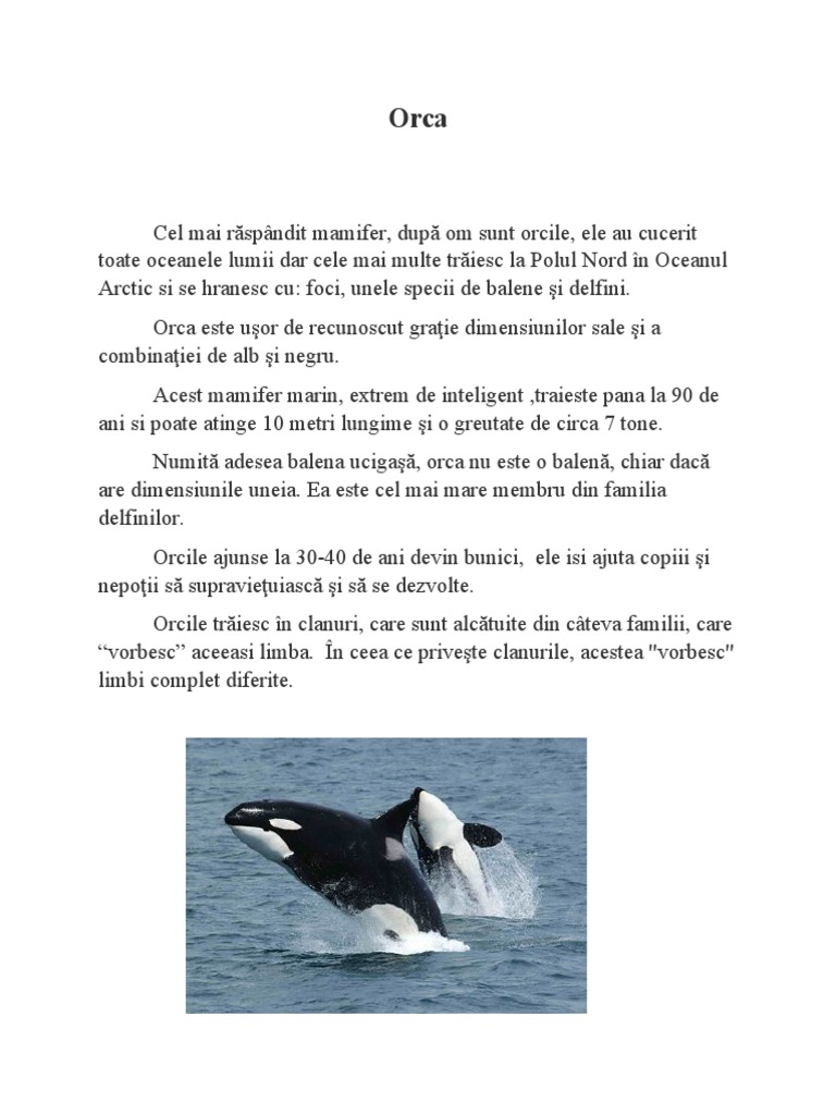 Orca | PDF