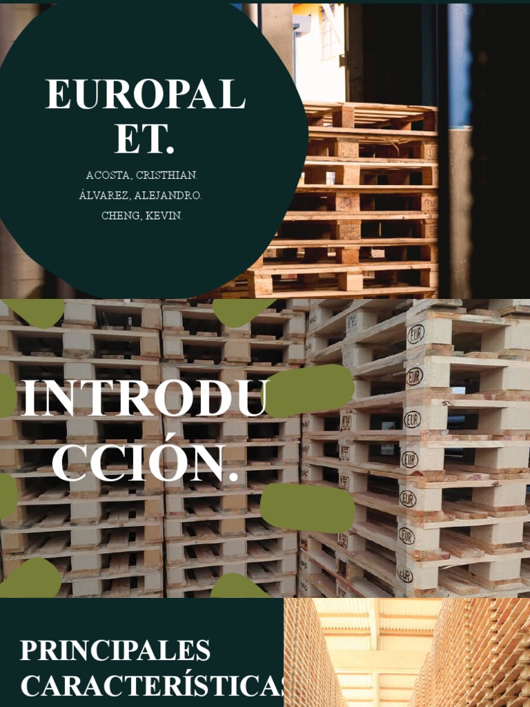 Medidas y peso del europalet | PDF | Paleta | Science