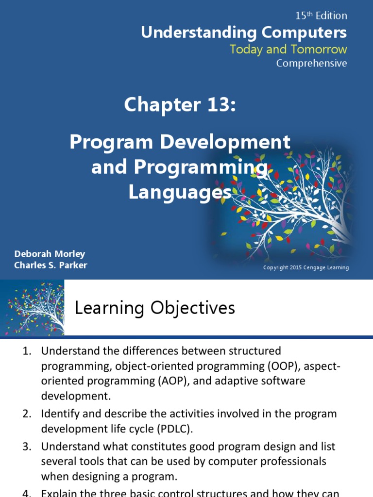 Morley15e PPT Ch13 REV | PDF | Computer Programming | Computer Program