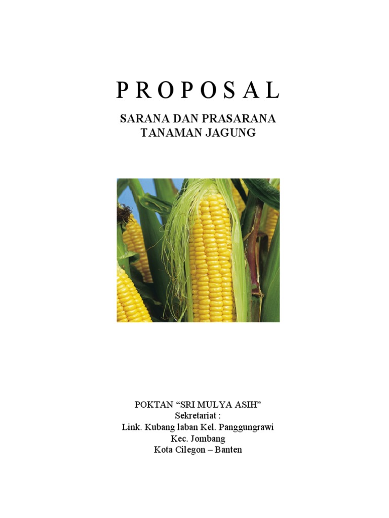 Proposal Jagung | PDF