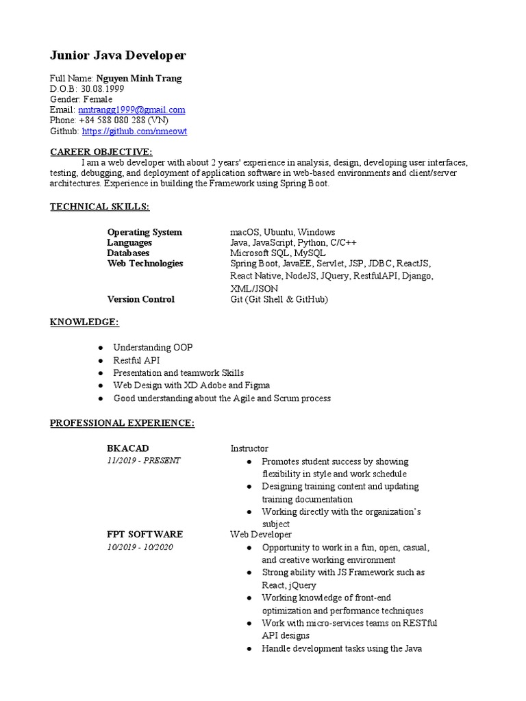 Junior Java Developer: Career Objective | PDF | Web Development ...