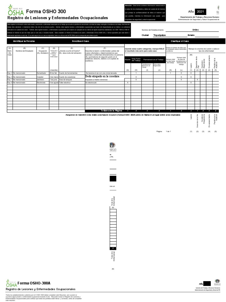 Forma OSHA 300 Rev. Enero 2012 Grupo 3 | PDF | Administración de ...
