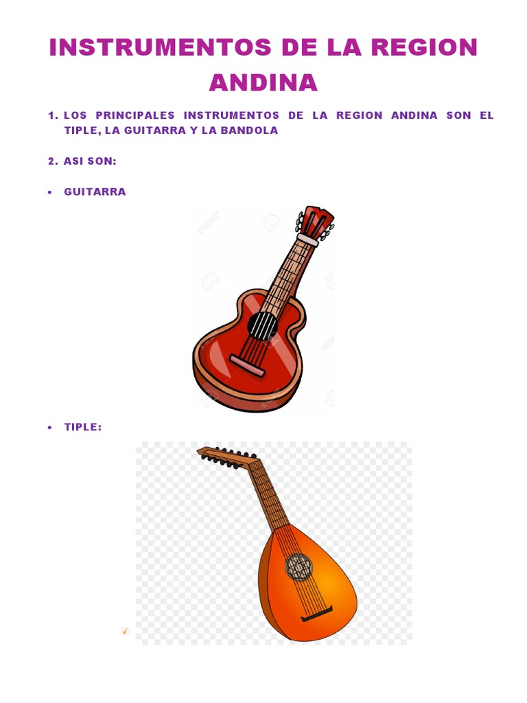 Instrumentos de La Region Andina | PDF