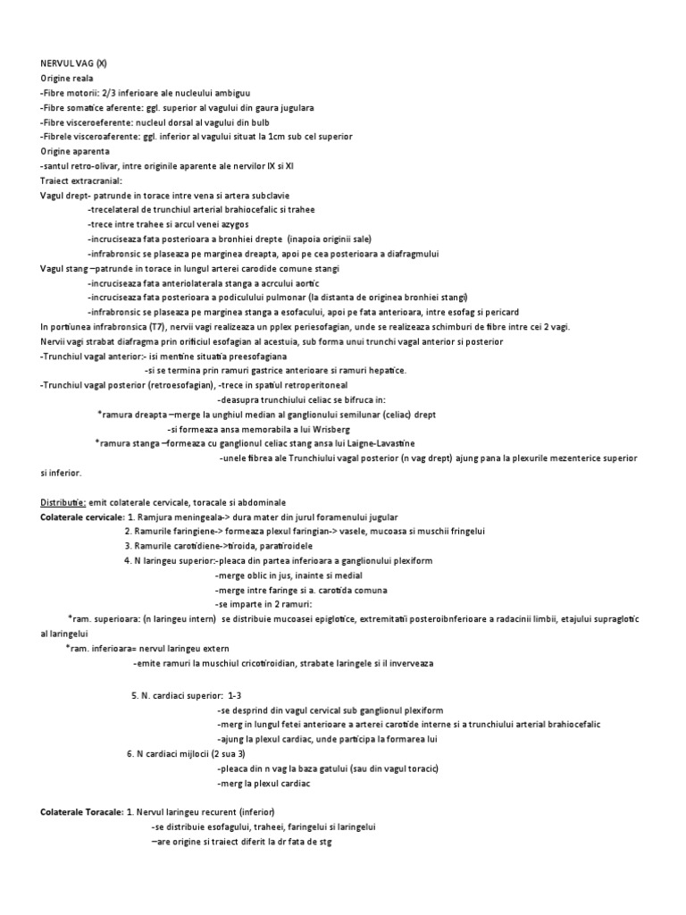 Vag, Solear Si Proiectii | PDF