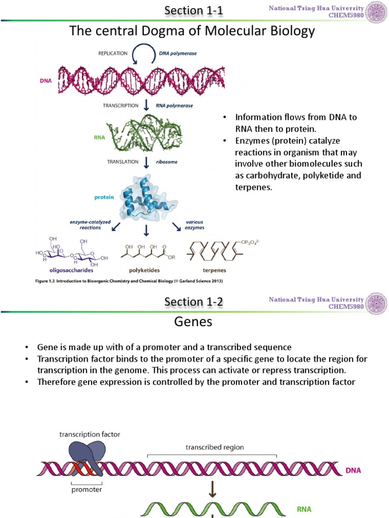 Understanding Genetic Information Flow and the Sources of Biological ...