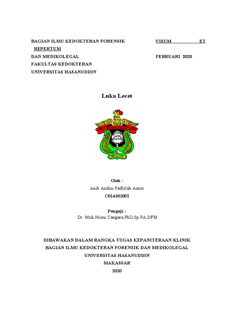 327 - Luka Lecet - Andita Ratnata | PDF