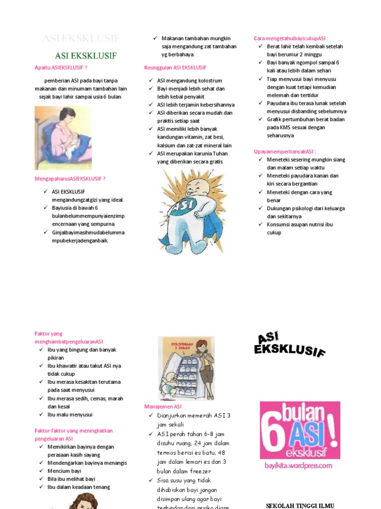 Panduan ASI Eksklusif untuk Bayi | PDF