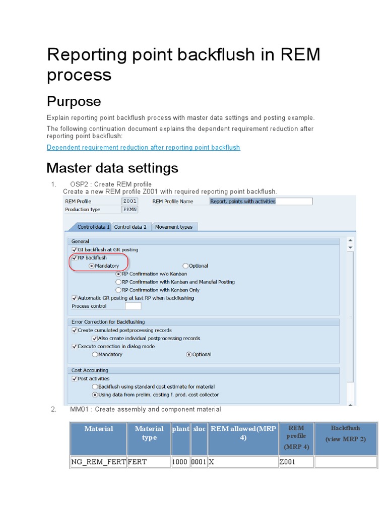 Reporting Point Backflush in REM Process: Purpose | PDF | Information ...