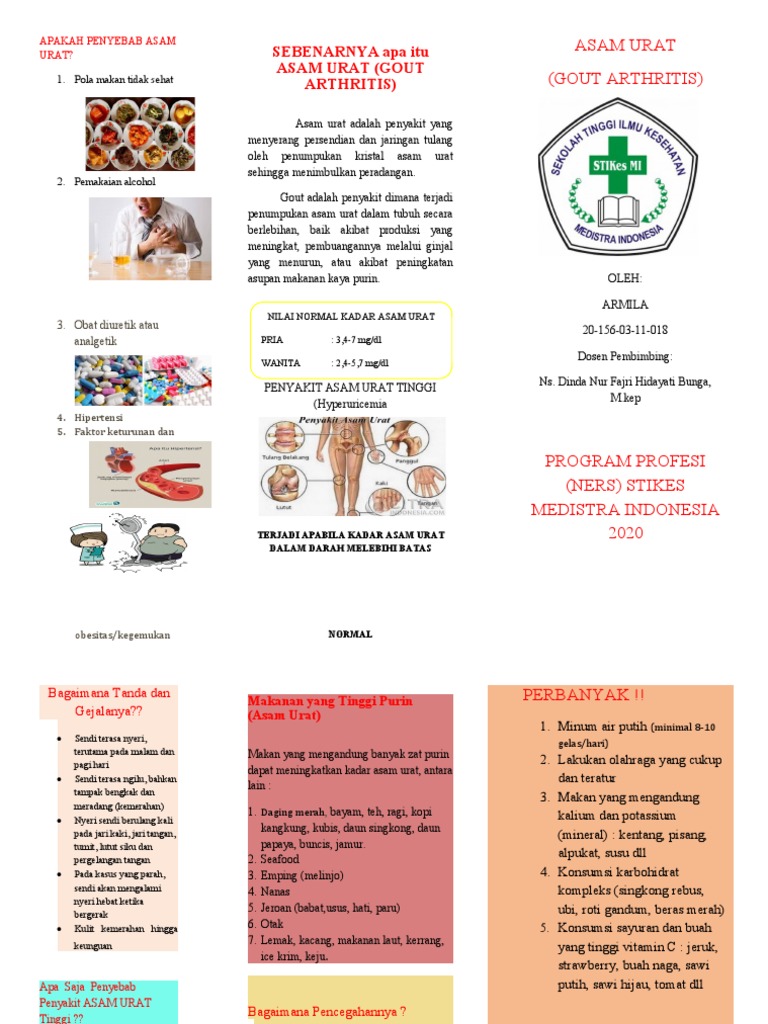 Leaflet Asam Urat | PDF