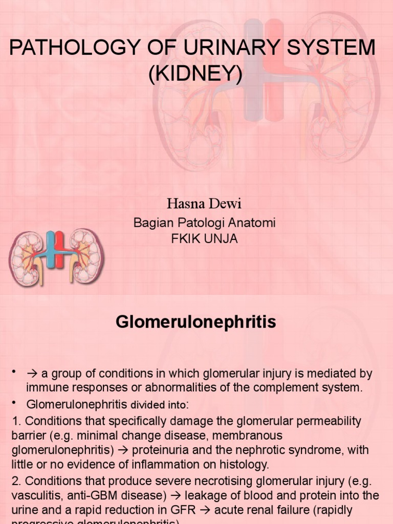 Pathology of Urinary System 2 | PDF | Kidney | Clinical Medicine