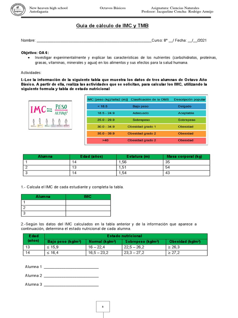 Guia IMC y TMB | PDF | Índice de masa corporal | Tamaño humano