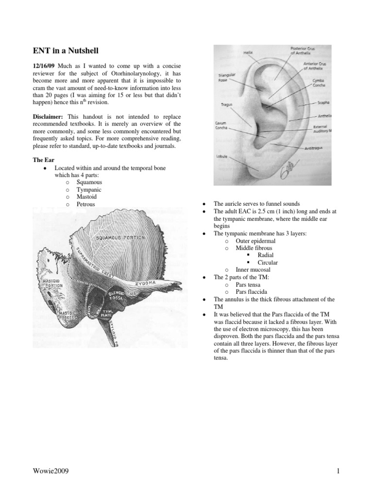 ENT in A Nutshell 2 | PDF | Human Head And Neck | Otorhinolaryngology