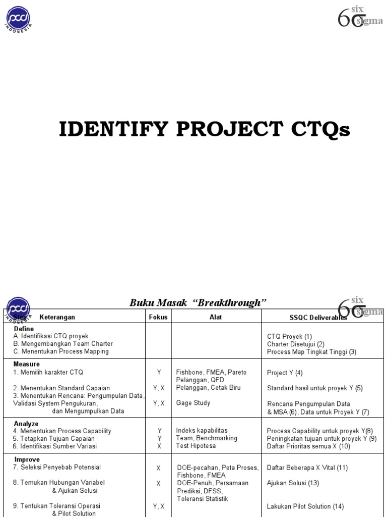 02 Identify Project CTQs | PDF