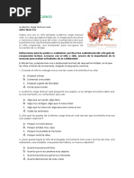 Actividades para "El Libro de los Cerdos" | PDF | Artes del Lenguaje y ...