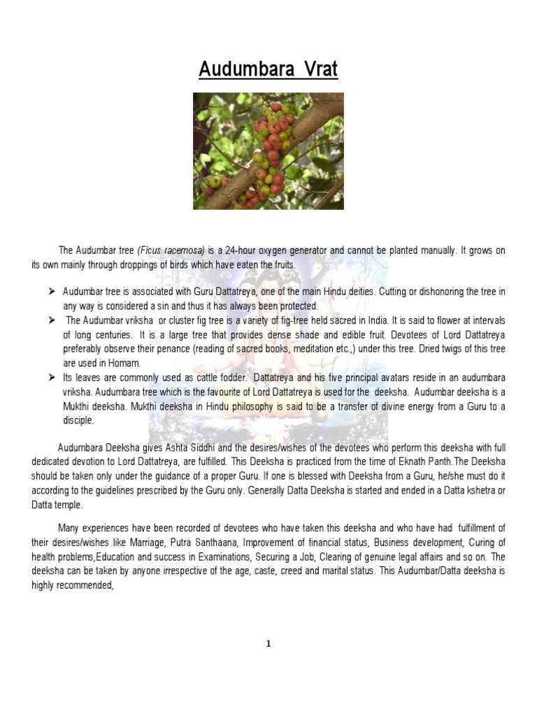 Audumbar Vratam EDITED-20 | PDF | Ficus | Trees