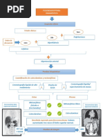 Infografía - Feocromocitoma | PDF | Glándula suprarrenal | Órgano ...