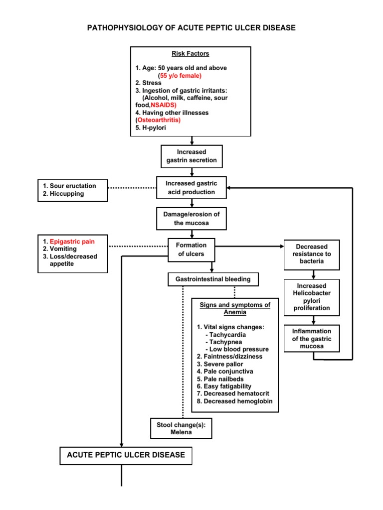 Pathophysiology of Peptic Ulcer Disease | PDF | Medicine | Gastroenterology