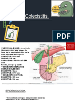 Hidrocolecisto y Piocolecisto: Definición y Tratamiento | PDF