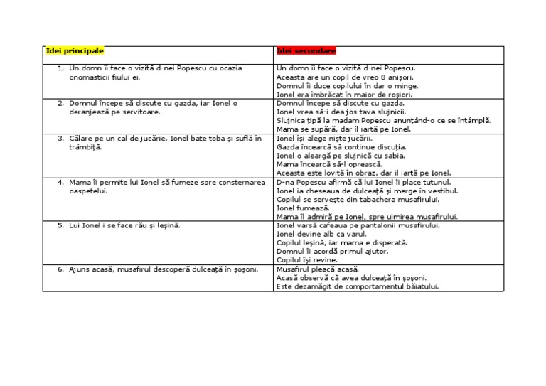 Plan Dezvoltat de Idei - Vizita | PDF