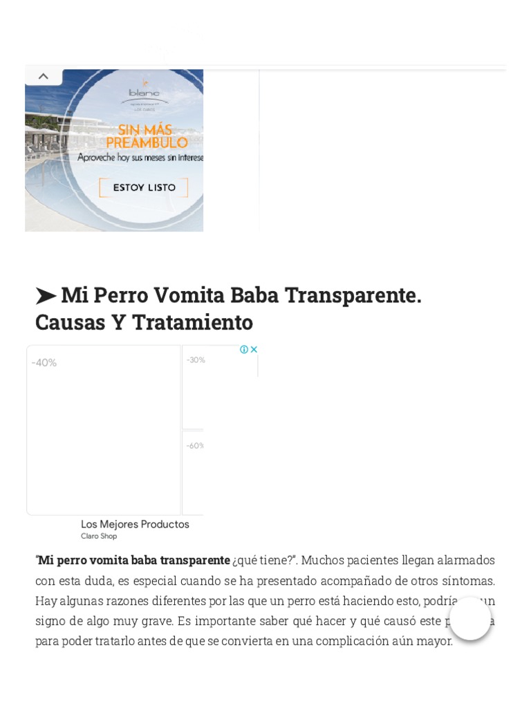 Mi Perro Vomita Baba Transparente. 5 Causas Y Su Tratamiento | PDF ...