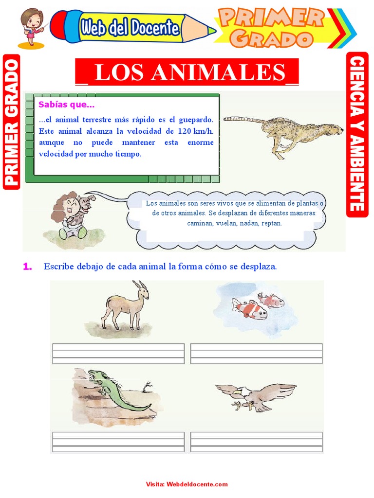 Los Animales para Primer Grado de Primaria | PDF