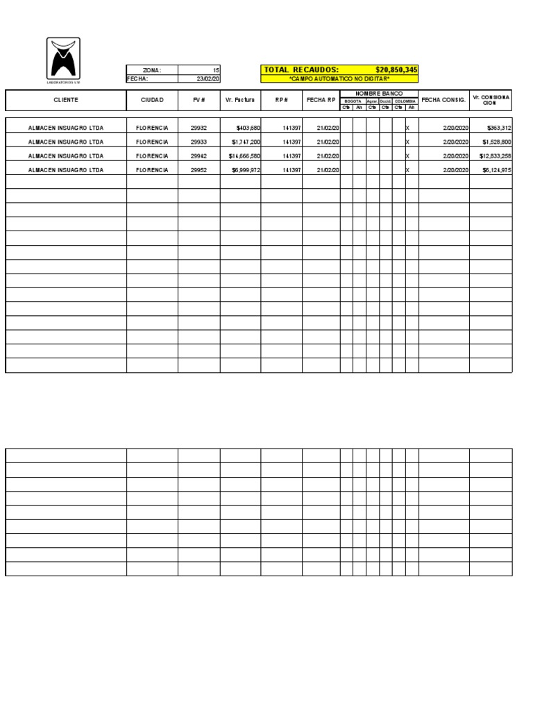 Formato Informe de Recaudo 22-01-20 Enero | PDF