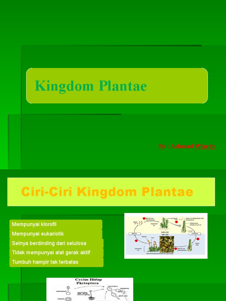 Ciri dan Klasifikasi Kingdom Plantae | PDF | Sains & Matematika