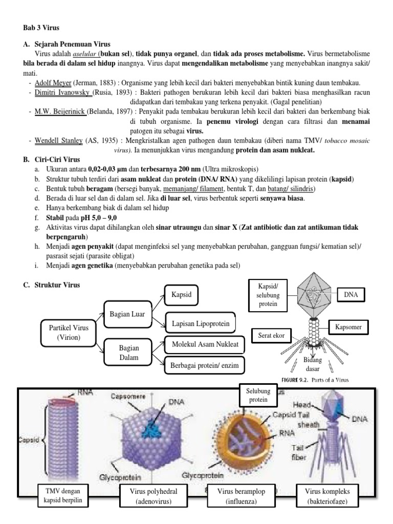 Rangkuman Materi Virus | PDF