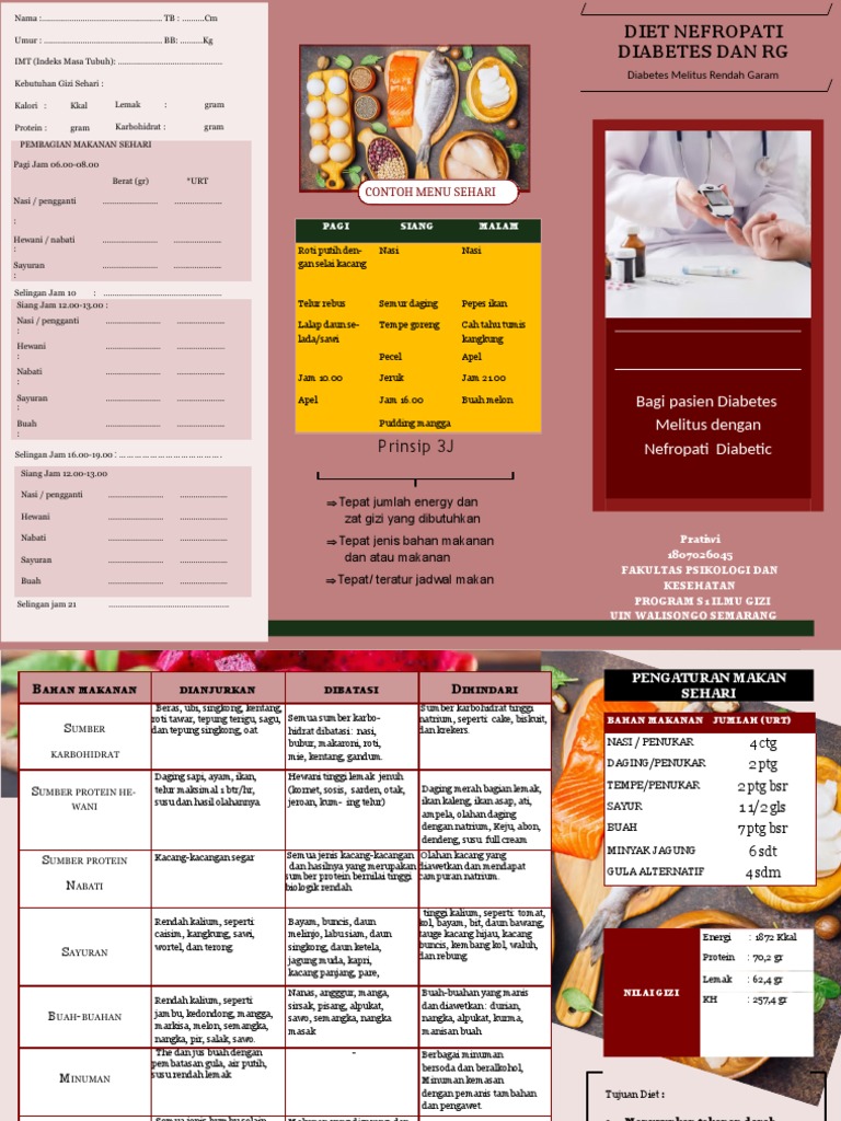 Leaflet Nefropati DM+RG | PDF